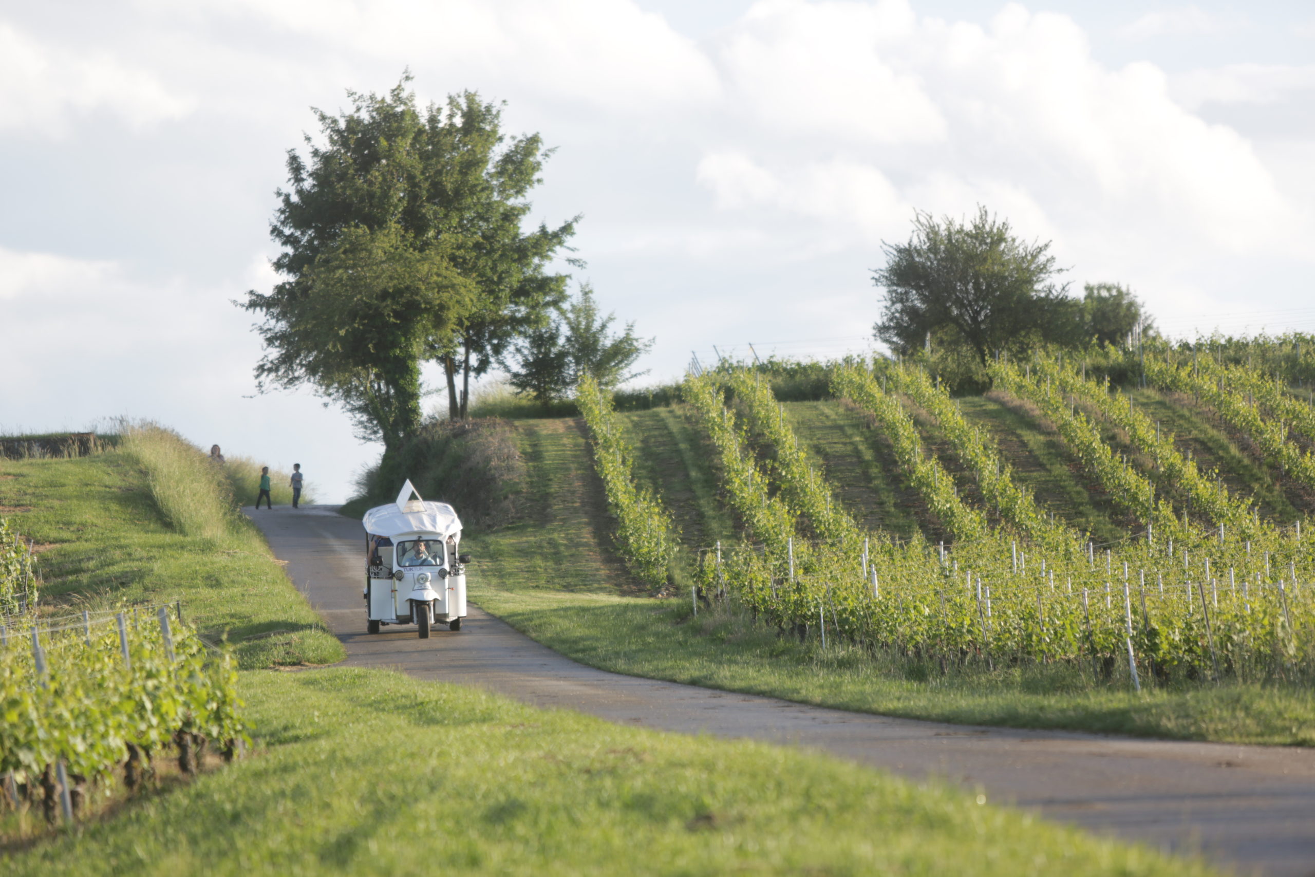 Geneva vineyards tour and wine tasting by Tuk Tuk | Edible Switzerland